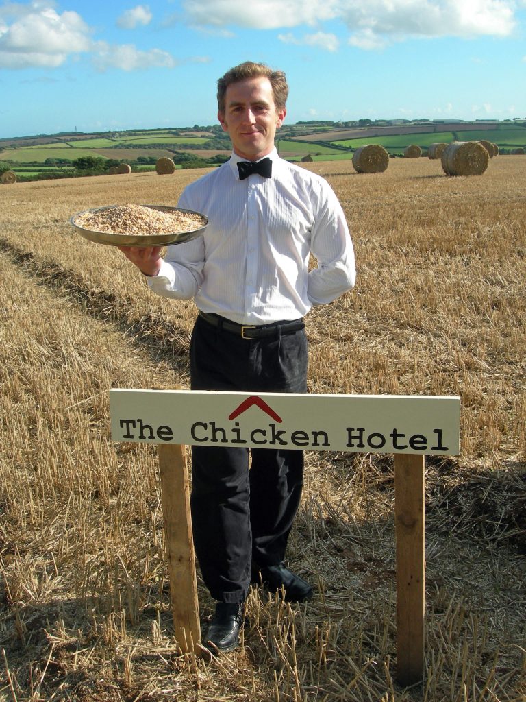 The Chicken Hotel - Backyard Poultry